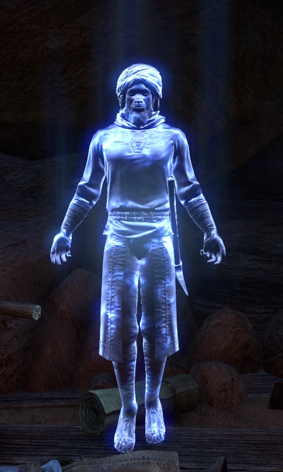 Haidar al-Sentinel | Elder Scrolls | Fandom