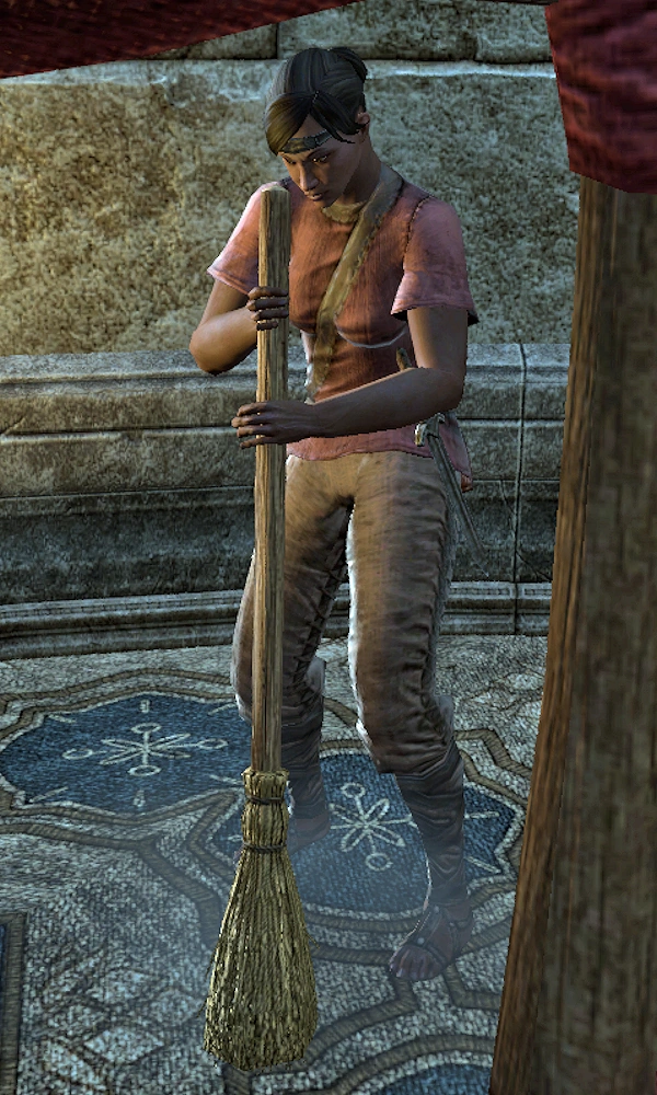 Hulya | Elder Scrolls | Fandom