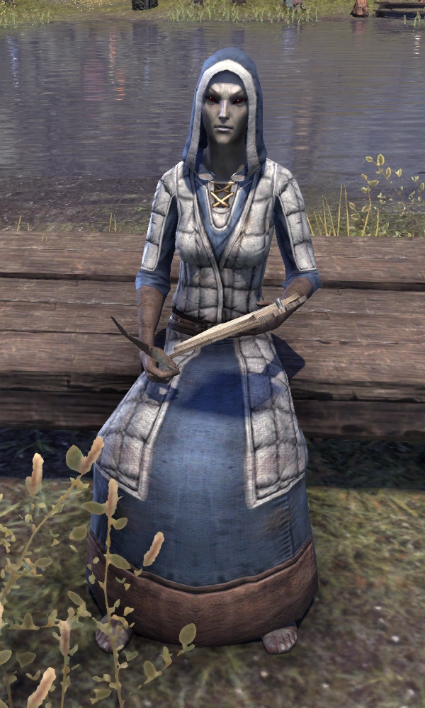 Relmeria Dreth | Elder Scrolls | Fandom