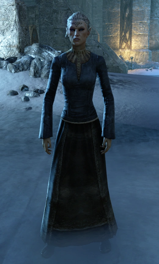 Category:Online: Falinesti Winter Site Characters | Elder Scrolls | Fandom