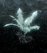 Plantas | Elder Scrolls | Fandom