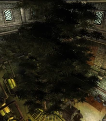 Hist | Elder Scrolls | Fandom