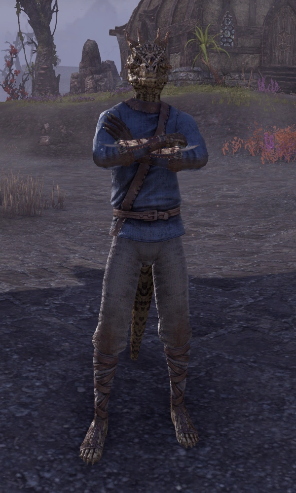 Jin-Ei | Elder Scrolls | Fandom