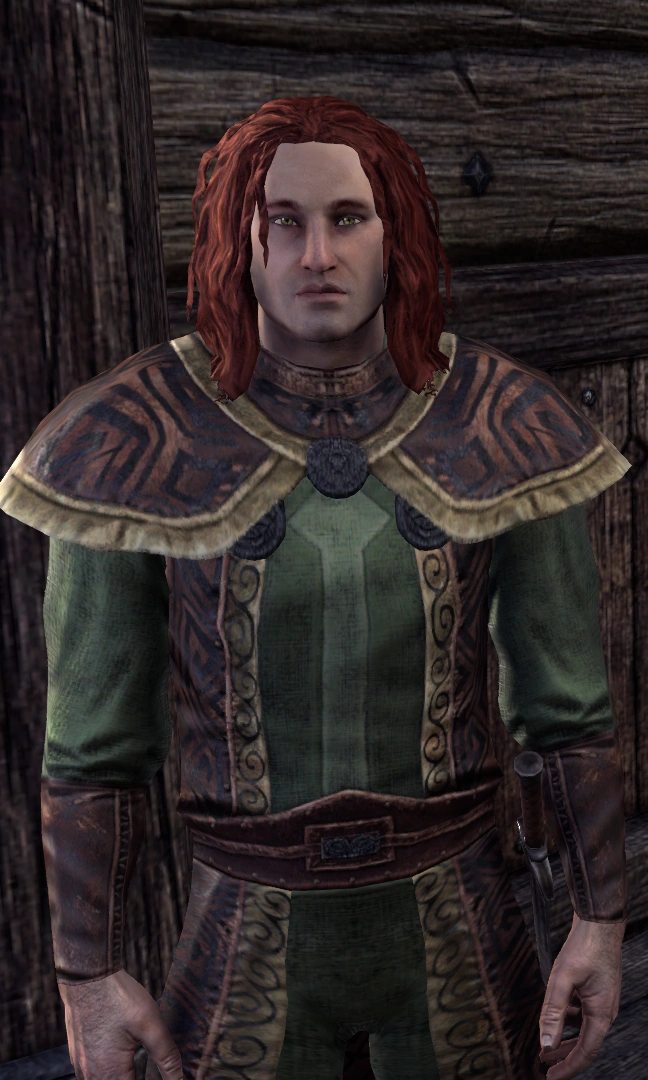 Valding le Barde | Wiki The Elder Scrolls | Fandom