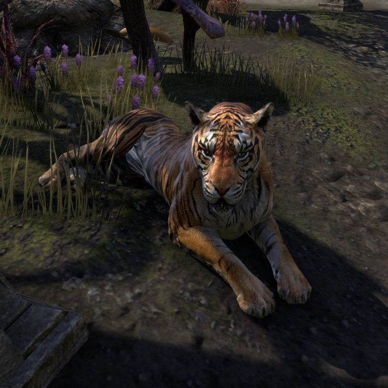 Zurguri | Wiki The Elder Scrolls | Fandom