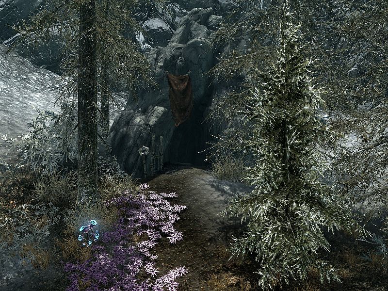 Забытая долина — Пещера The Elder Scrolls Wiki Fandom