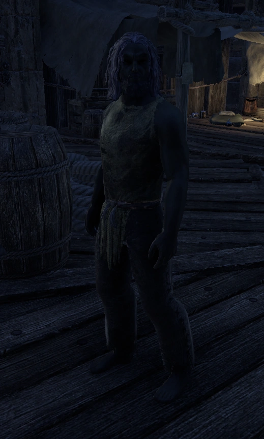 Dravin Berer | Wiki The Elder Scrolls | Fandom