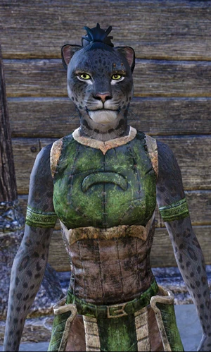 Fishmonger Kazra | Elder Scrolls | Fandom