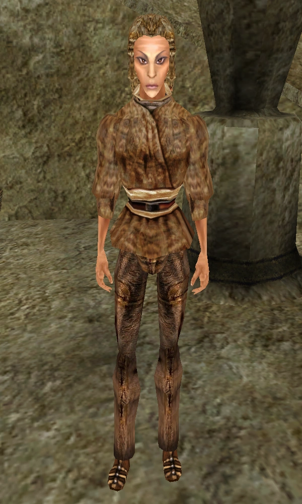 Nael | The Elder Scrolls Wiki | Fandom