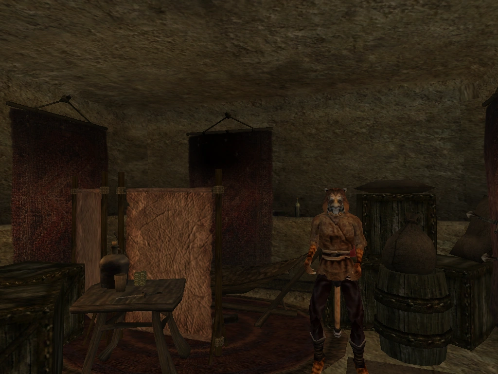 St. Olms Canal South-Two | Elder Scrolls | Fandom