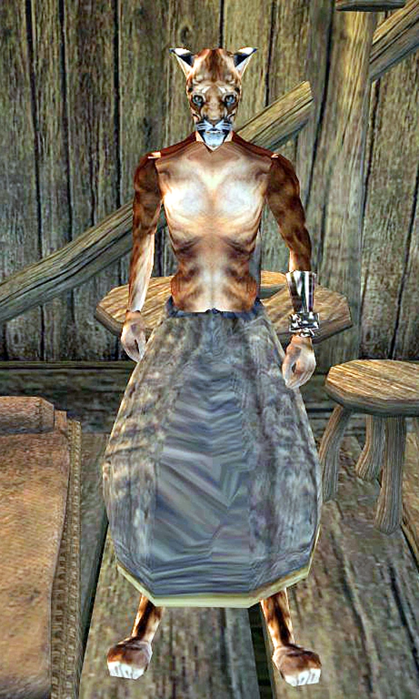 Category:Morrowind: Caldera Mine Characters | Elder Scrolls | Fandom