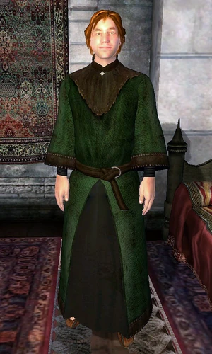 Mage Apprentice | Elder Scrolls | Fandom