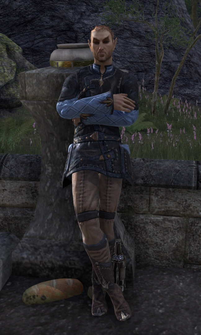 Talonir | Wiki The Elder Scrolls | Fandom