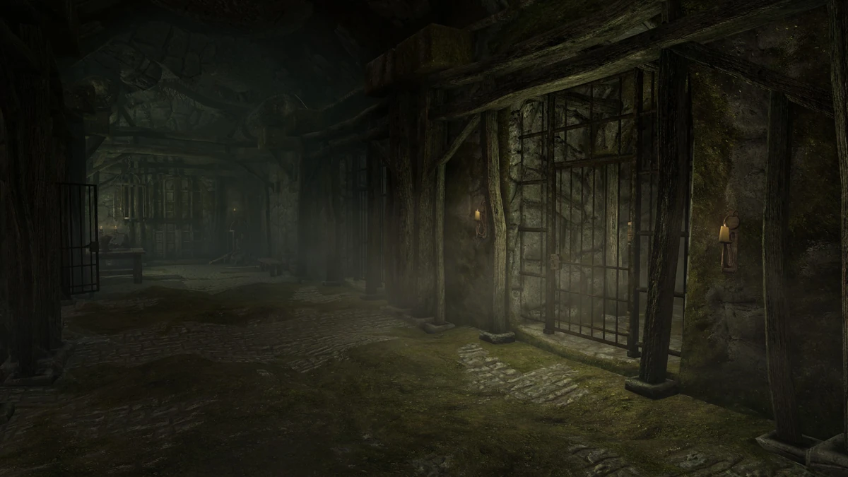 The Pit Dungeon | Elder Scrolls | Fandom