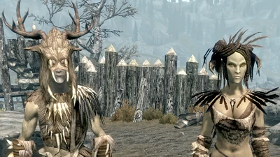 Discuss Everything About Elder Scrolls | Fandom