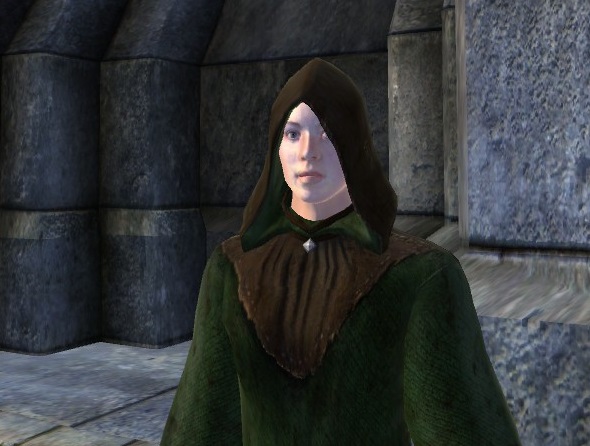 Зелёный капюшон The Elder Scrolls Wiki Fandom