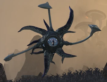 Watcher | Elder Scrolls | Fandom