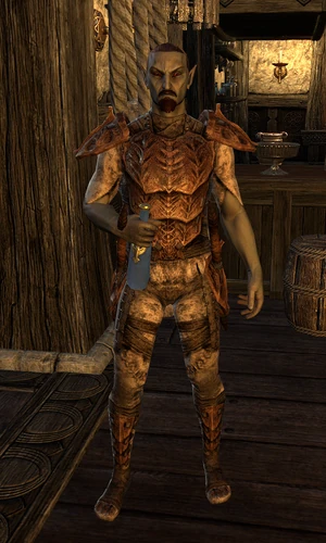 Breynis Othan | Elder Scrolls | Fandom