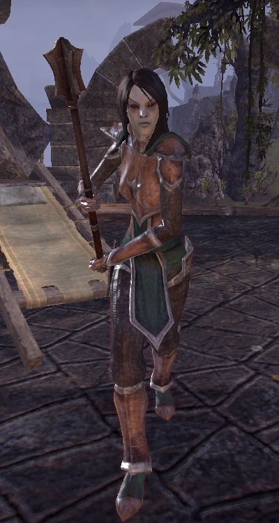 Captain Dunveril | Elder Scrolls | Fandom