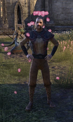 Grumpy Temple Stoic | Elder Scrolls | Fandom