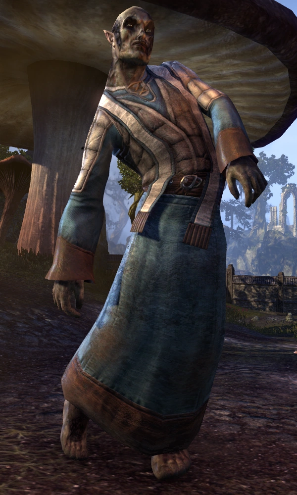 The Abomination | Elder Scrolls | Fandom