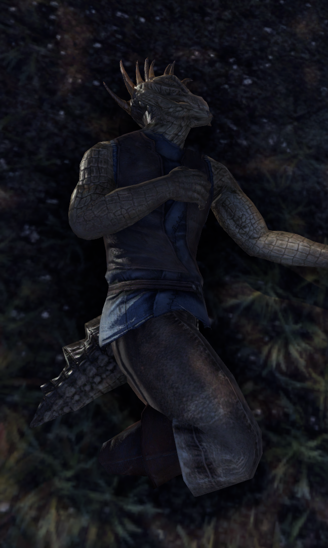 Crête-marchande | Wiki The Elder Scrolls | Fandom Crête-marchande | Wiki The Elder Scrolls | Fandom