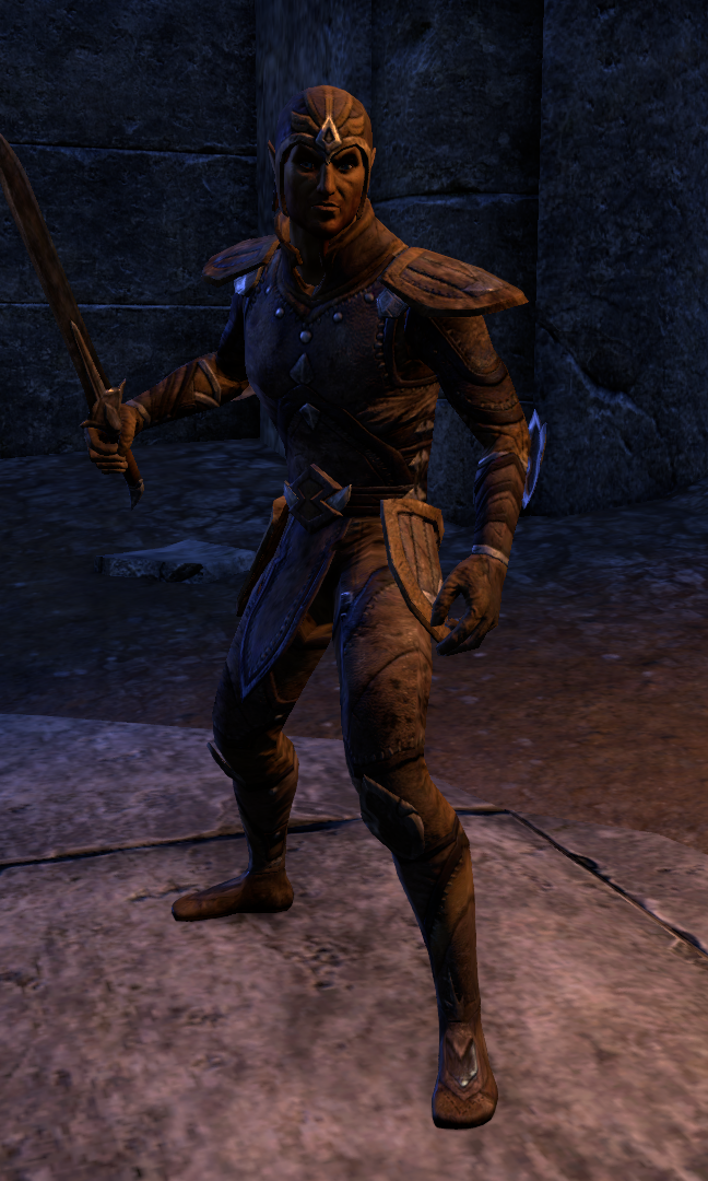 Fantassin Du Domaine Wiki The Elder Scrolls Fandom