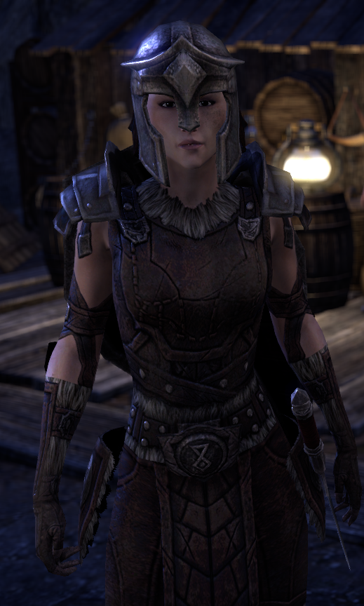 Garde De La Caravane Wiki The Elder Scrolls Fandom