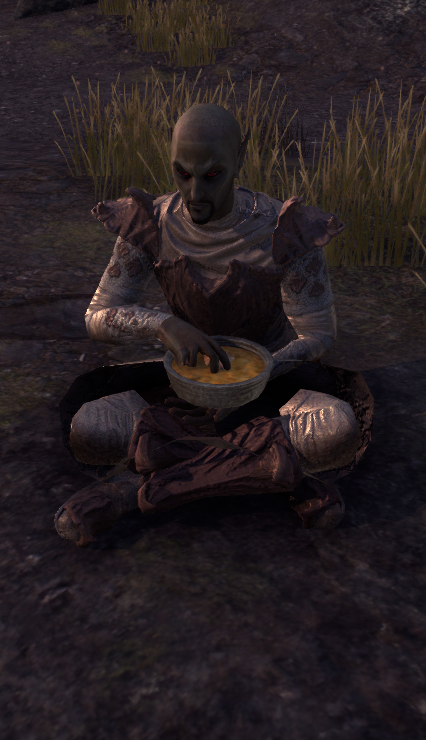 Sentinelle Druvvanno Wiki The Elder Scrolls Fandom