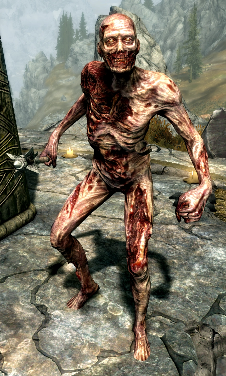 Zombie (Skyrim Creation Club) | Elder Scrolls | Fandom