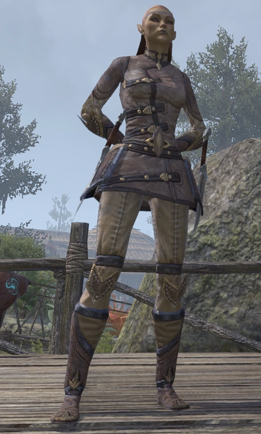 Amilya | Elder Scrolls | Fandom