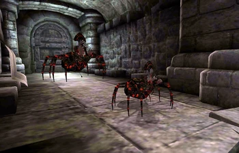 Daedra Spiderling | Elder Scrolls | Fandom