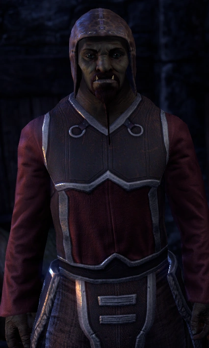 Torg | Wiki The Elder Scrolls | Fandom