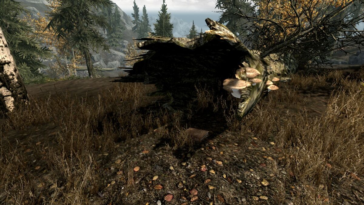 Спрятанные сокровища — Сторожевая башня Шора The Elder Scrolls Wiki