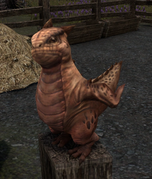 Bantam Guar | Elder Scrolls | Fandom