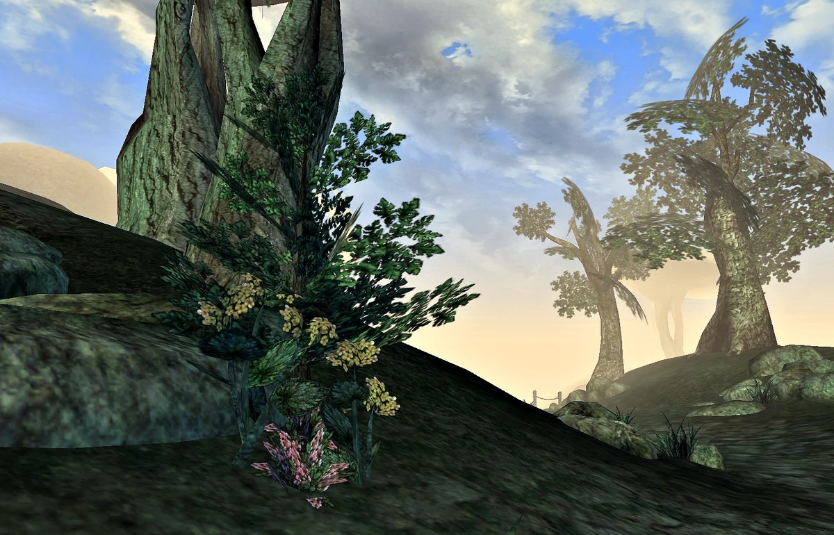 Four Types of Flowers | Elder Scrolls | Fandom
