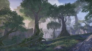 Grahtwood | Elder Scrolls | Fandom