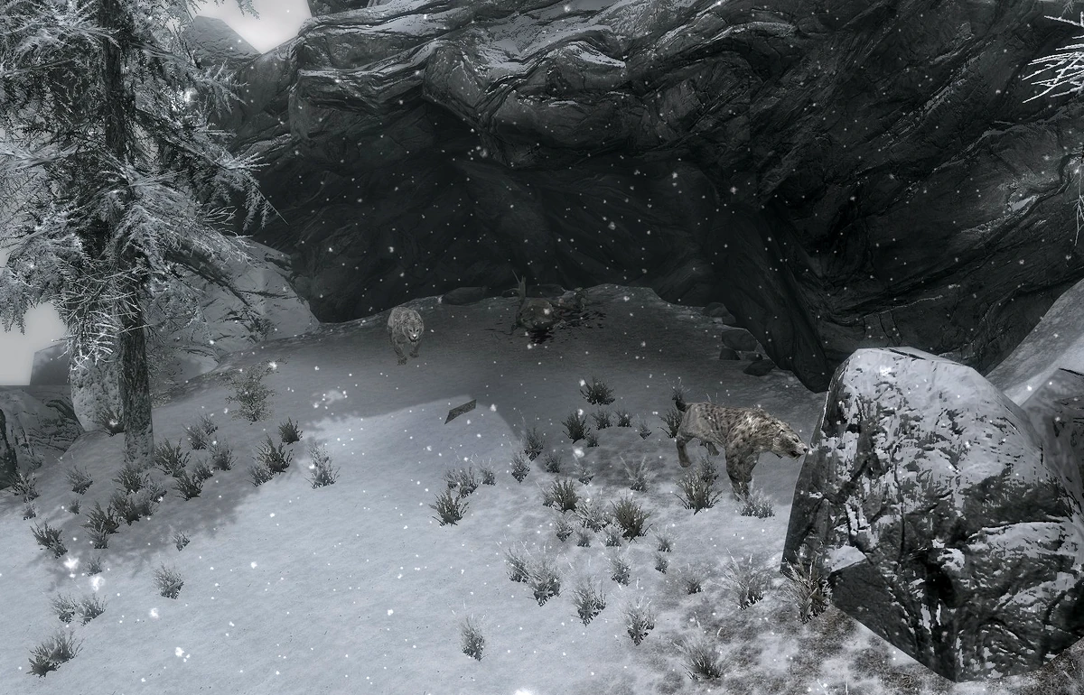 Haafingar Sabre Cat Lair | Elder Scrolls | Fandom