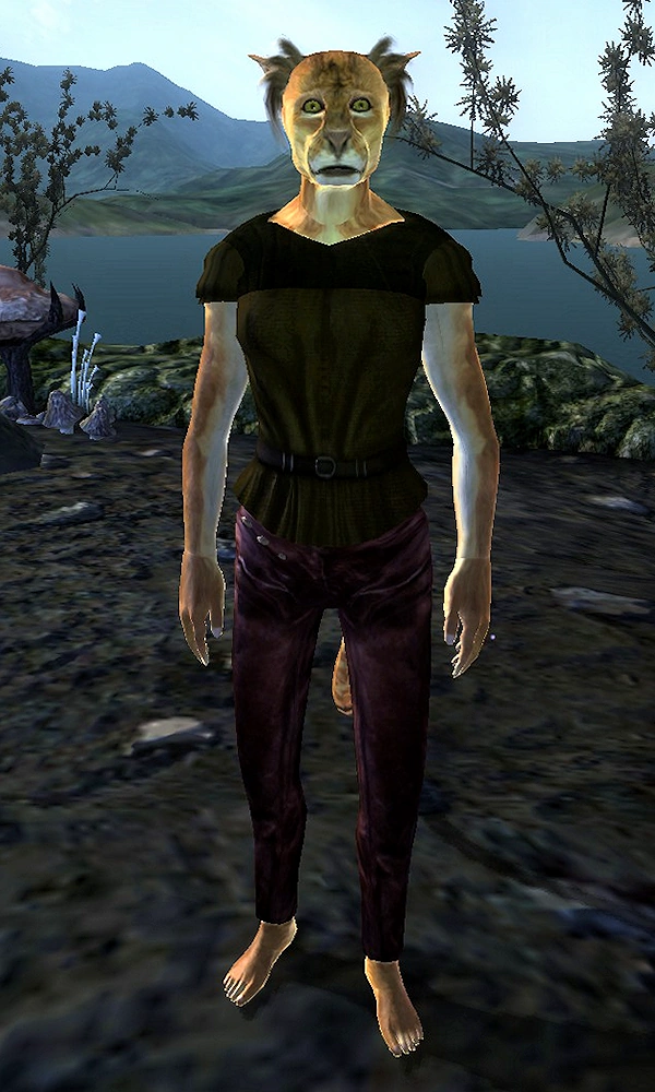 S'fara | Elder Scrolls | Fandom