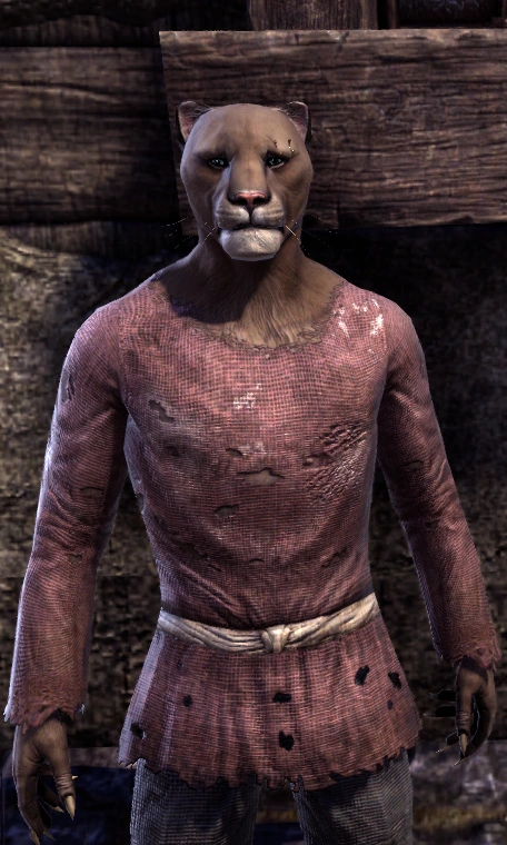 Shiladur | Wiki The Elder Scrolls | Fandom