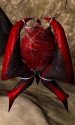 Containers (Oblivion) | Elder Scrolls | Fandom