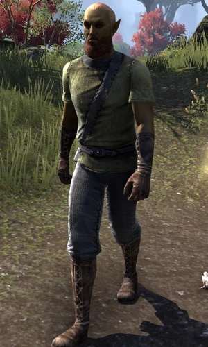 Meldon | Elder Scrolls | Fandom