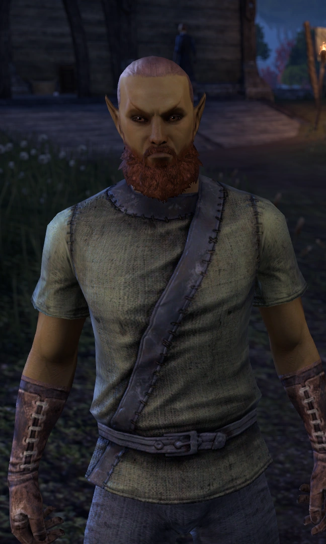 Meldon | Wiki The Elder Scrolls | Fandom
