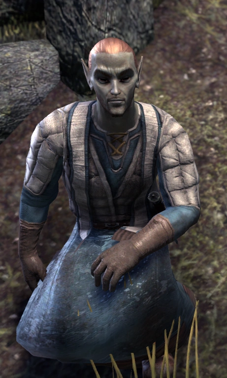 Acolyte Hlen | Wiki The Elder Scrolls | Fandom