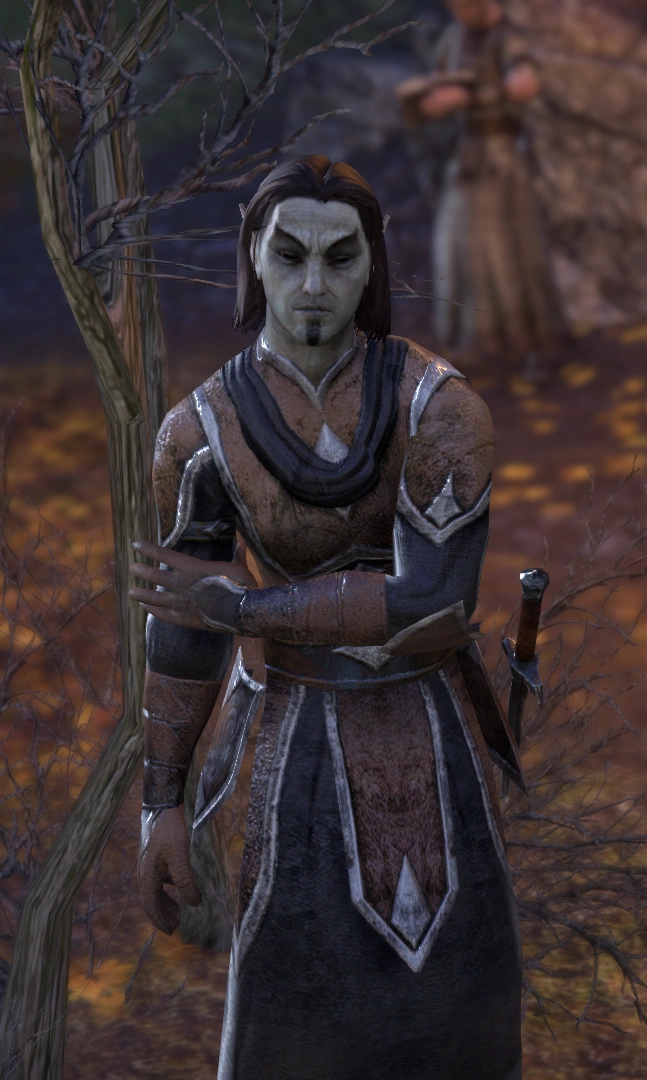 Aronel Fanim | Wiki The Elder Scrolls | Fandom