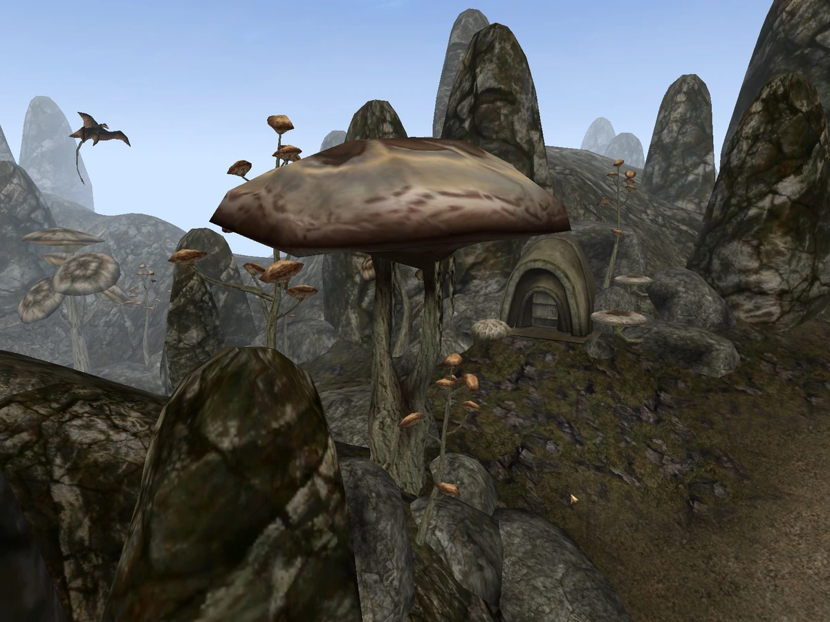 Klan Aundae | The Elder Scrolls Wiki | Fandom