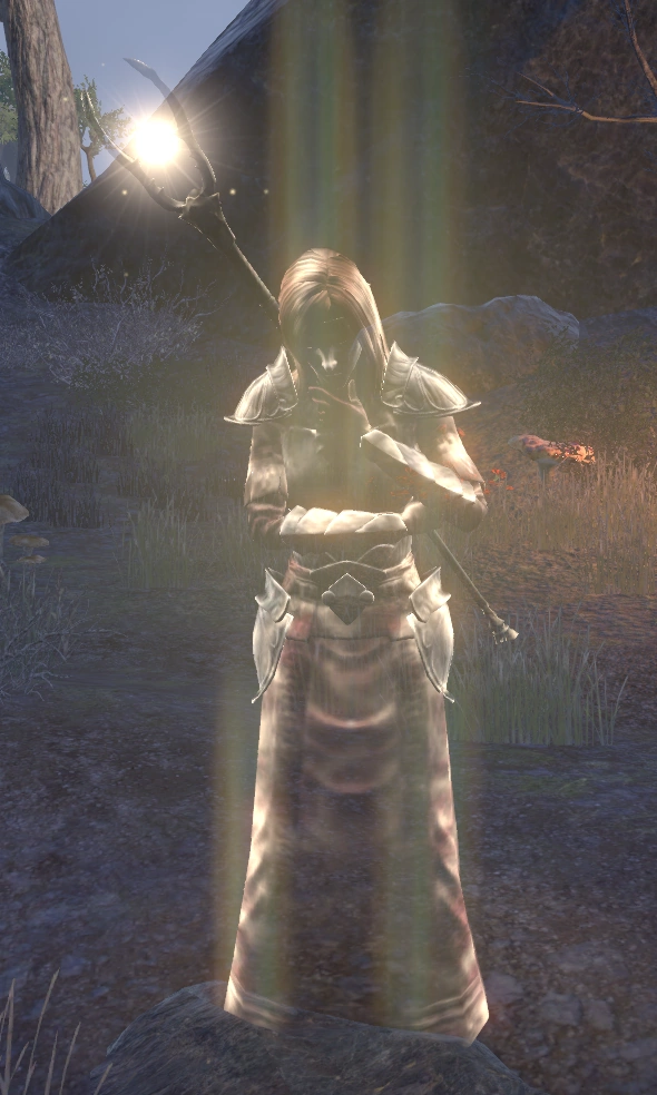 Councilor Reynis | Elder Scrolls | Fandom