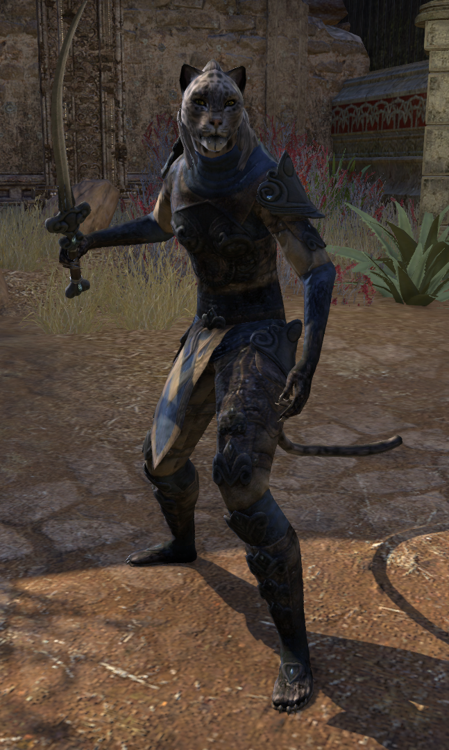 Boucher Malade Wiki The Elder Scrolls Fandom