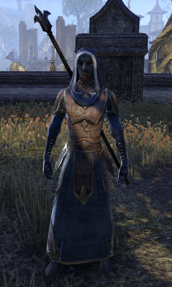 Instructor | Elder Scrolls | Fandom