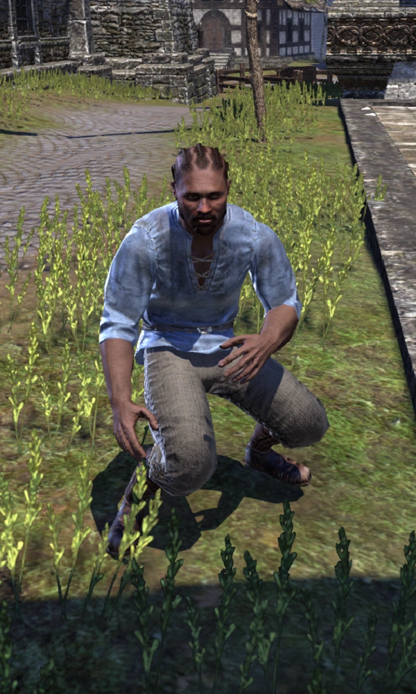 Skeevers | Elder Scrolls | Fandom